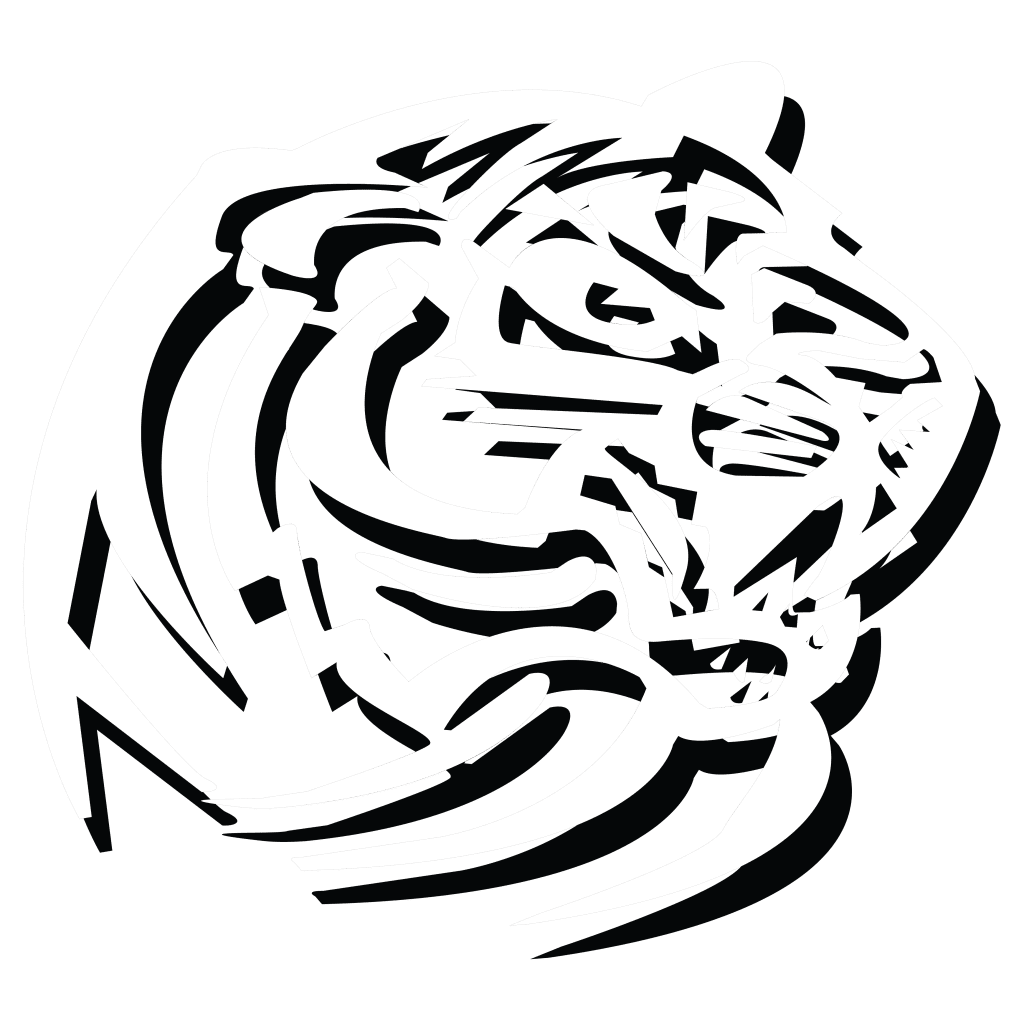 Tiger Plumbing, Heating, Air Conditioning, & Electrical Services